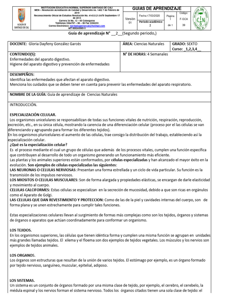 Grado 06 GA B P2 01A CNaturales GDGG 61 62 63 64 7 | PDF | Digestión ...