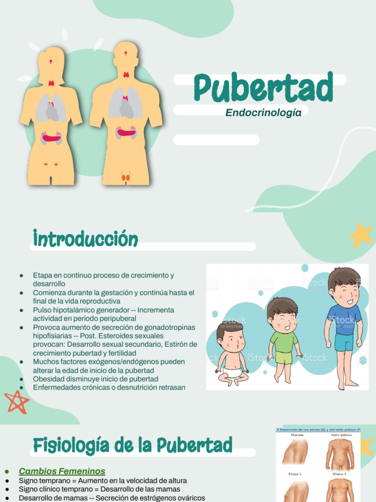 Pubertad | PDF | Hormona luteinizante | Pubertad