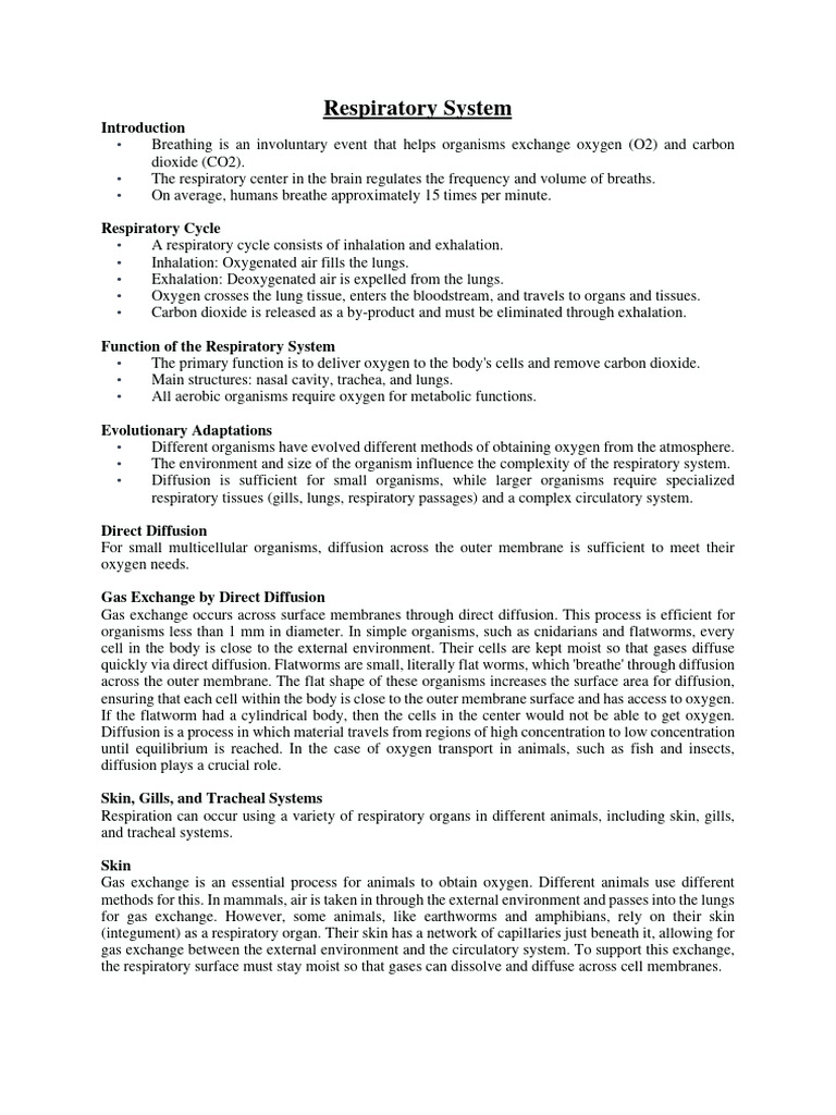 Respiratory System Notes | PDF | Respiratory System | Respiratory Tract