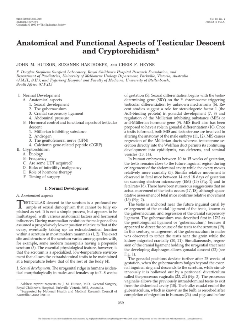 Anatomical and Functional Aspects of Testicular Descent | PDF ...