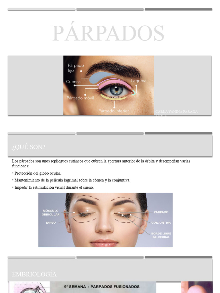 Párpados. OFTALMO | PDF | Enfermedades y trastornos | Anatomía humana
