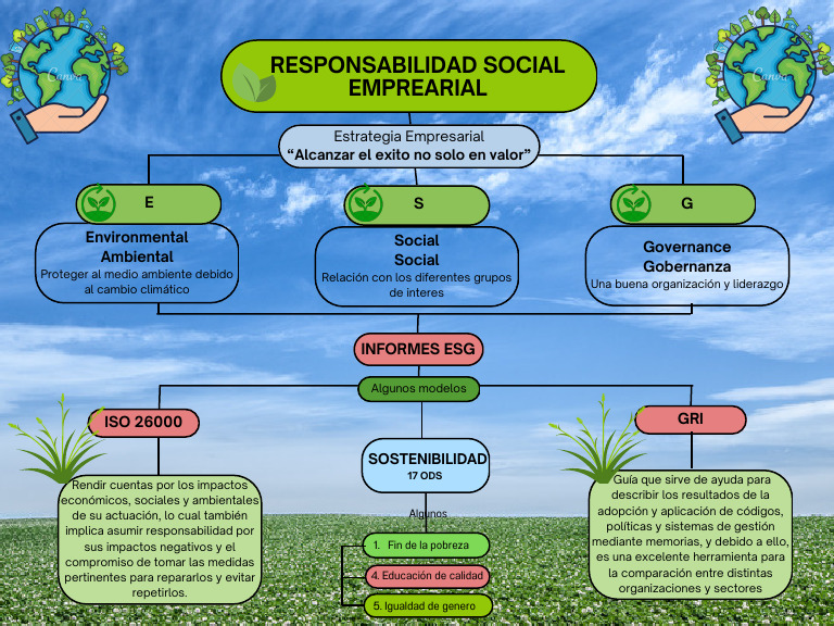 Mapa Conceptual Rse | PDF