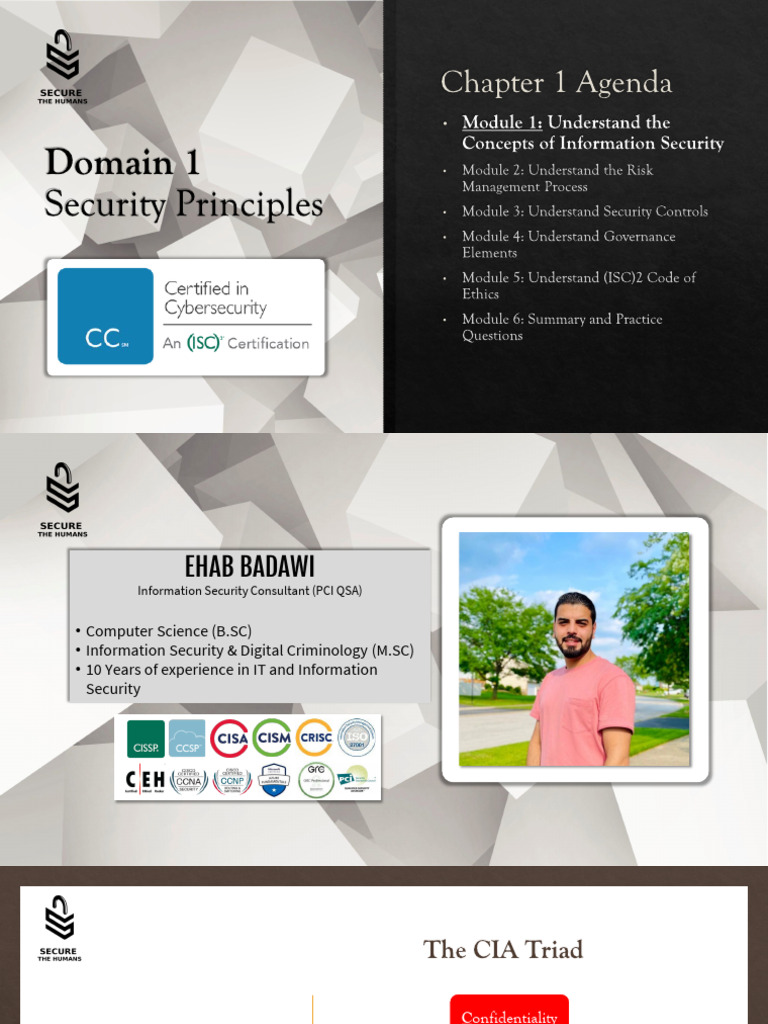 Domain 1 - Module 1 (CIA Triad) | PDF