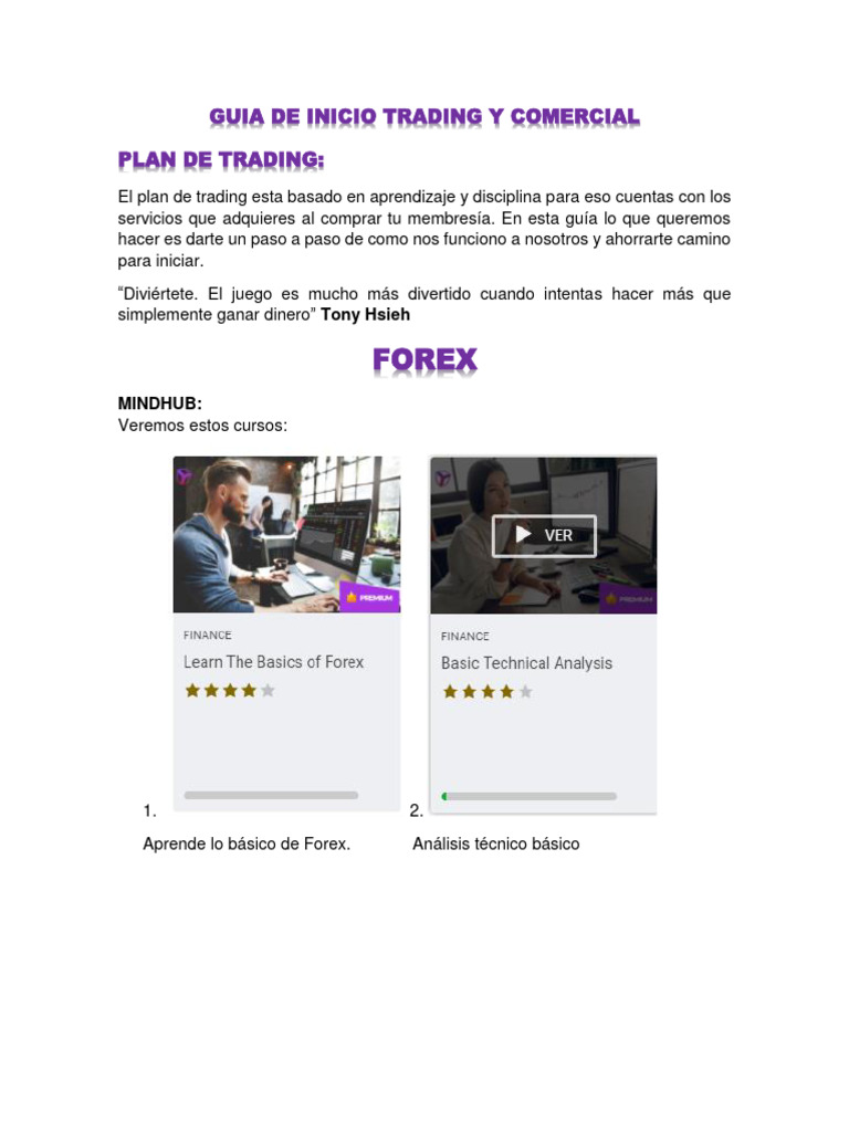 Guia de Inicio Trading y Comercial Be | PDF