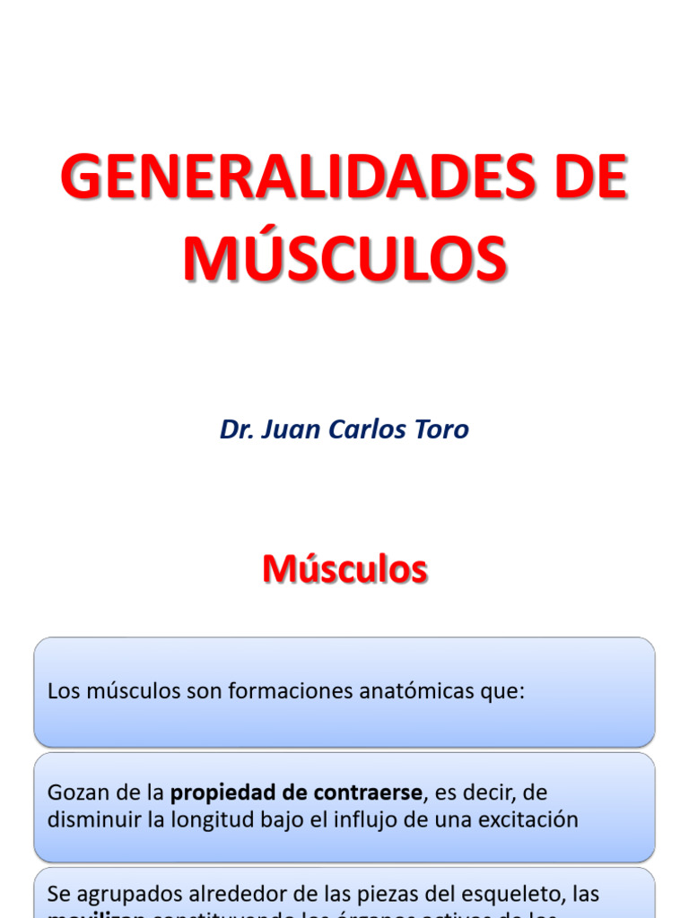 Generalidades de Músculos | PDF | Músculo esquelético | Morfología (biología)