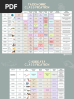 Phylum Taxonomy Overview and Examples | PDF
