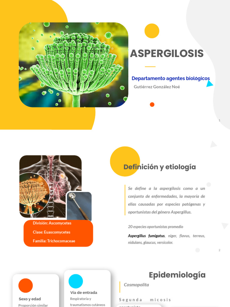 Aspergilosis NGG | PDF | Alergia | Tos