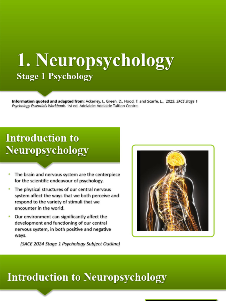 Neuropsychology | PDF | Neuron | Nervous System