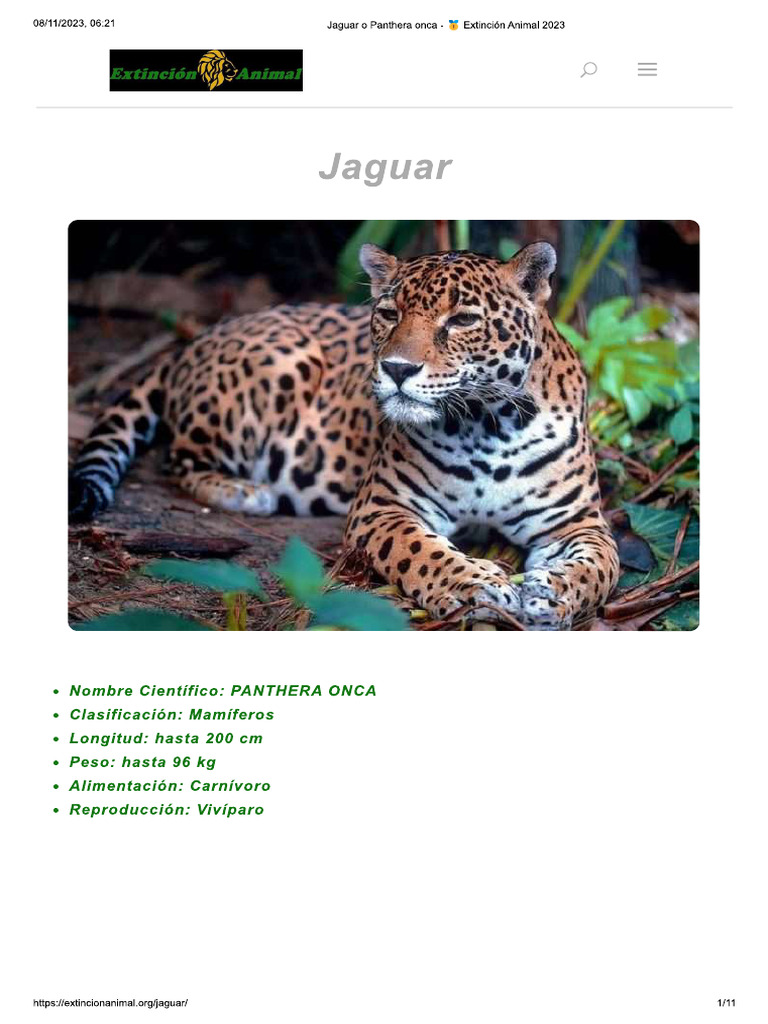 Jaguar | PDF