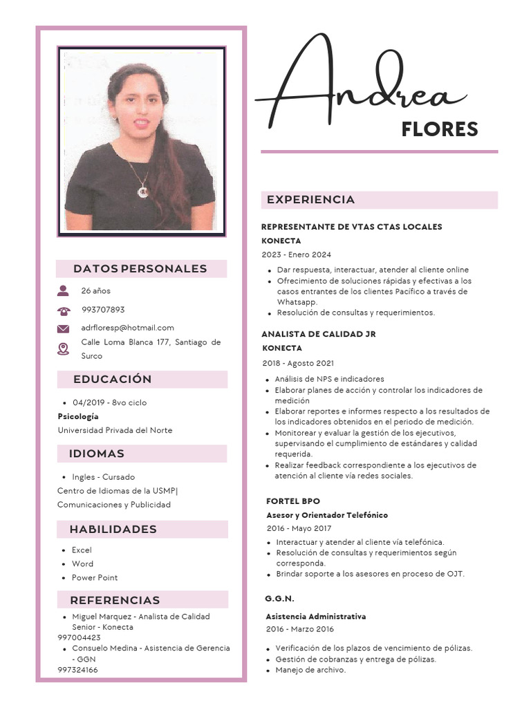 CV Andrea Flores | PDF | Informática