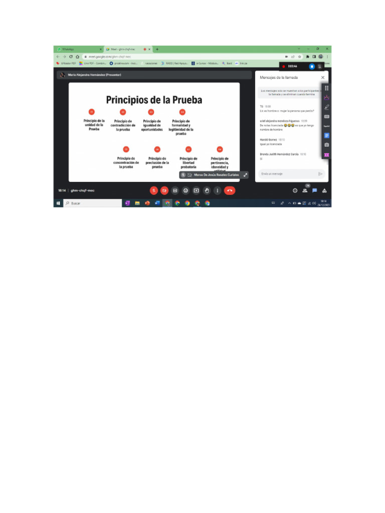 Principios de La Prueba | PDF