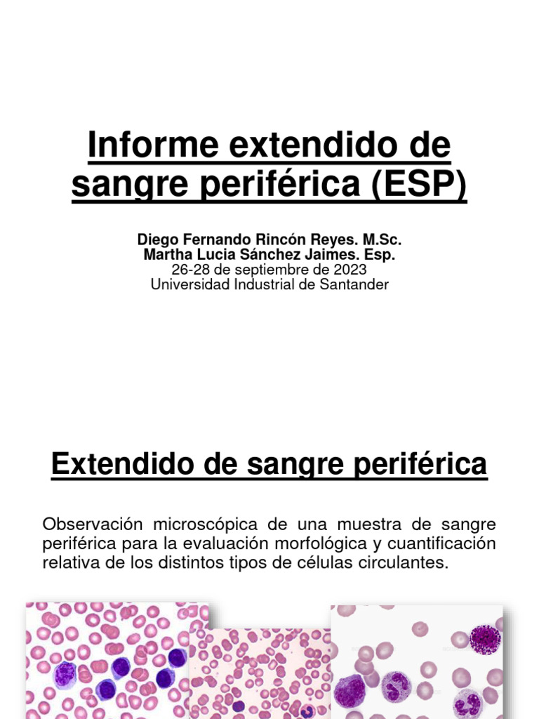 Dfrinrey - Informe Extendido de Sangre Periférica (ESP) | PDF ...