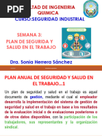 Programa Anual SST | PDF | Seguridad y salud ocupacional