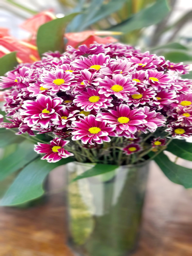 PDF Img2pdf 17feb24 0806 | PDF