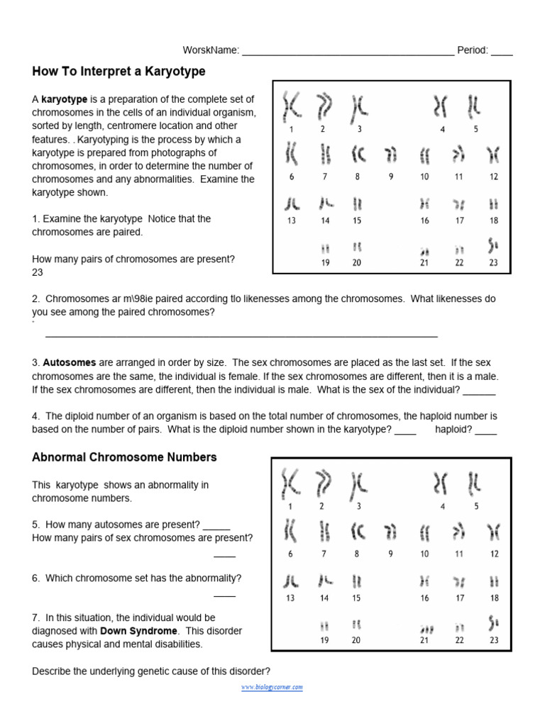 How To Interpret A Karyotype | PDF | Karyotype | Chromosome