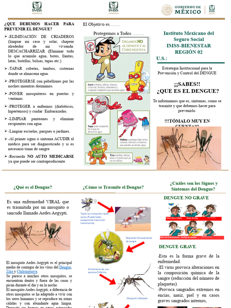 Triptico Dengue Región 02 | Descargar gratis PDF | Medicina ...