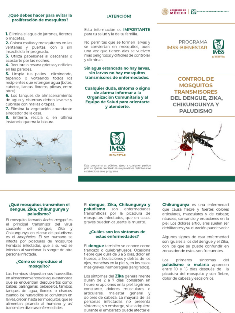 24 Triptico Contra Dengue Zika Chikung y Paluds Carta | PDF | Fiebre del zika | Malaria