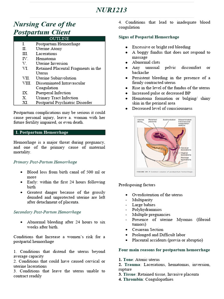 Module 5_MCN Transes | PDF | Postpartum Period | Childbirth