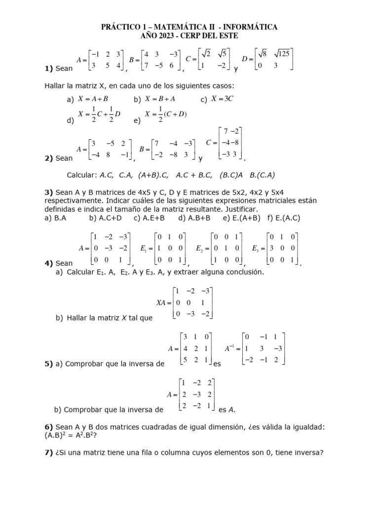 Práctico 1 - Matrices | PDF | Matriz (Matemáticas) | Conceptos matemáticos