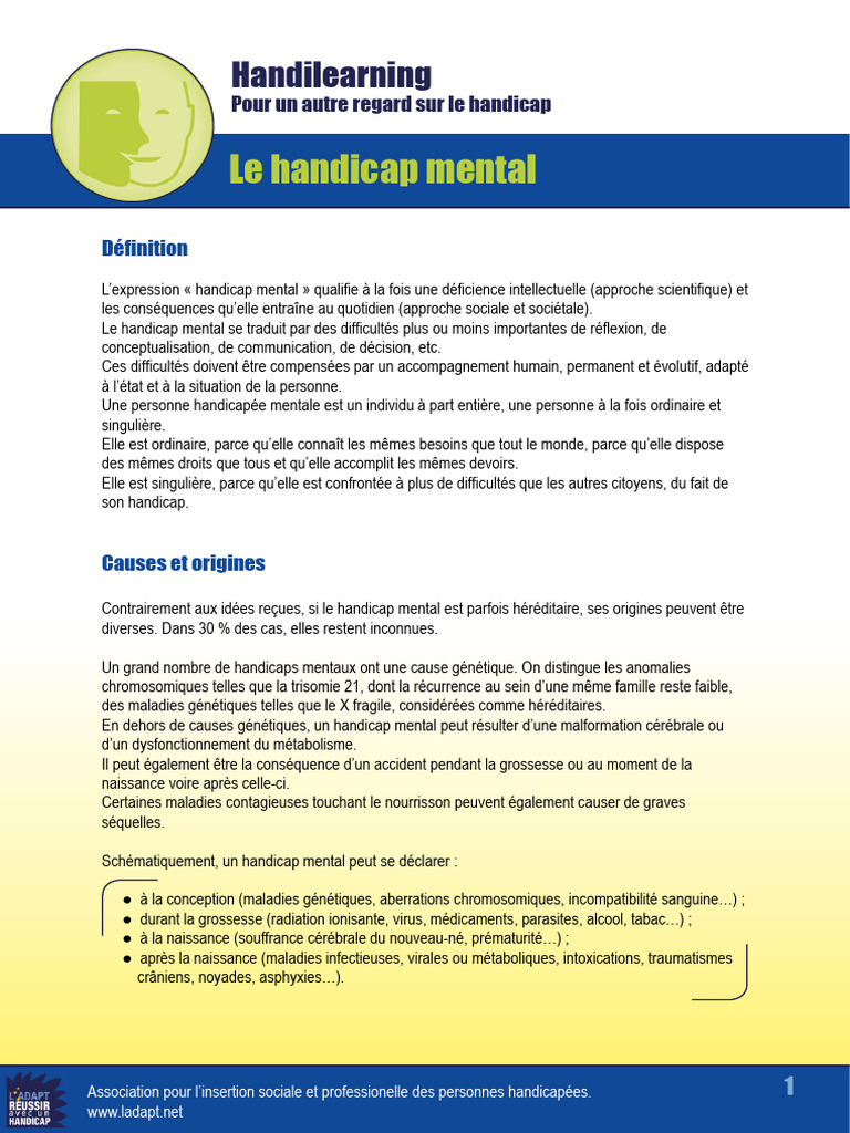 Handicap Mental 2 | PDF