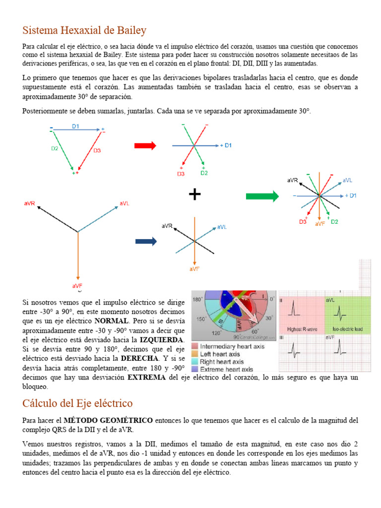 Sistema Hexaxial de Bailey | PDF | Electrocardiografia | Corazón