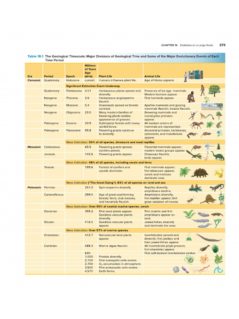 Geological Timescale | PDF