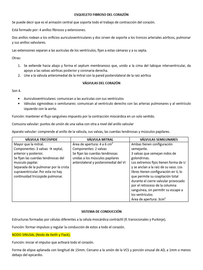 ESQUELETO FIBROSO DEL CORAZÓN | PDF | Fisiología Cardiovascular | Corazón