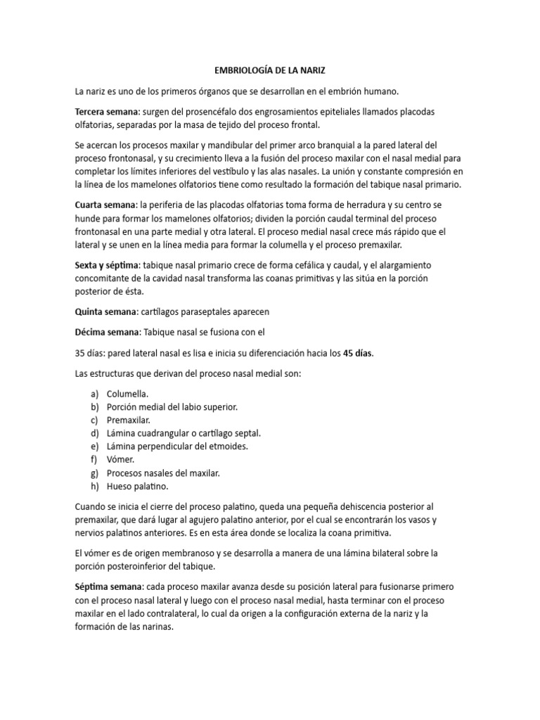 Embriología de la nariz humana | PDF | Nariz humana | Rinología