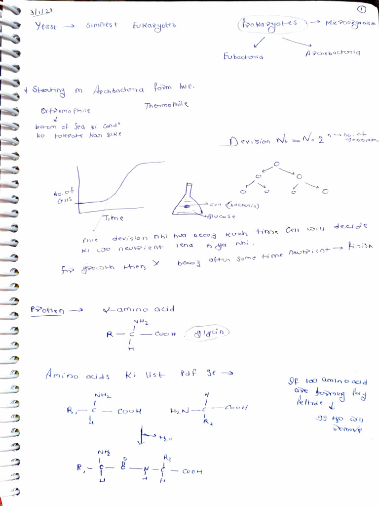 Adobe Scan 08-Feb-2024 | PDF