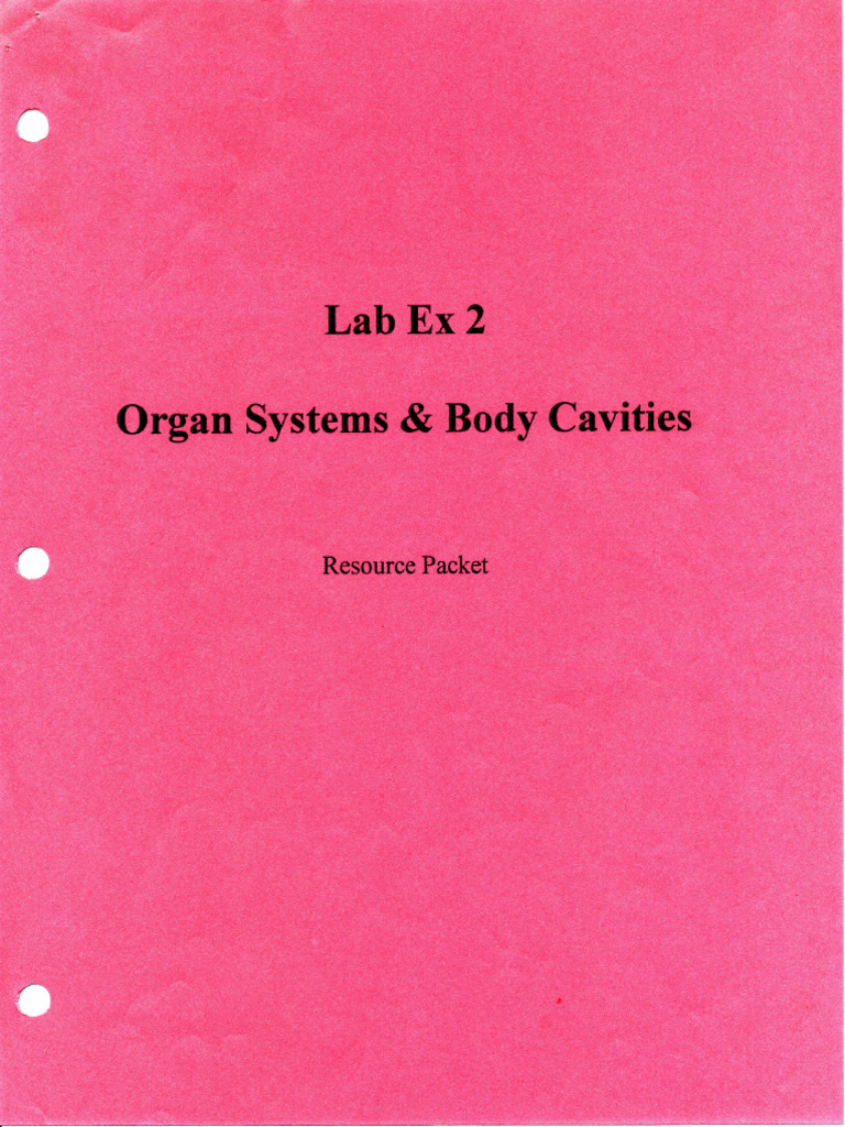 Lab Ex 2 Systems And Cavities Resource Pdf Human Body Peritoneum 