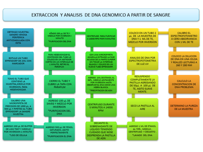 ANALISIS ADN 2 | PDF | Adn | Biología Molecular