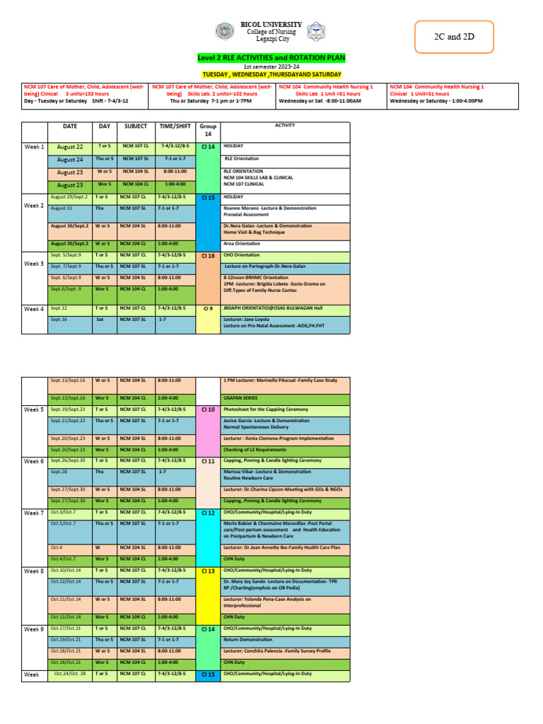 L2-ROT-PLAN-NCM-107-104-2D-Group-14 2 | PDF | Human Pregnancy | Human Reproduction