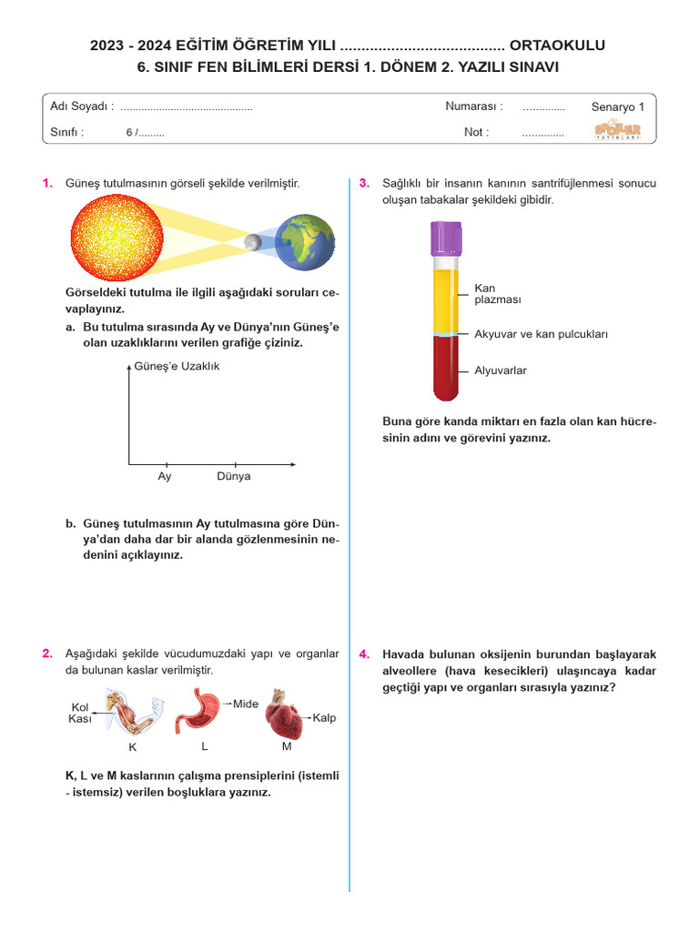 6 Fen 2. Yazılı 1. Senaryo (Cevapsız) | PDF