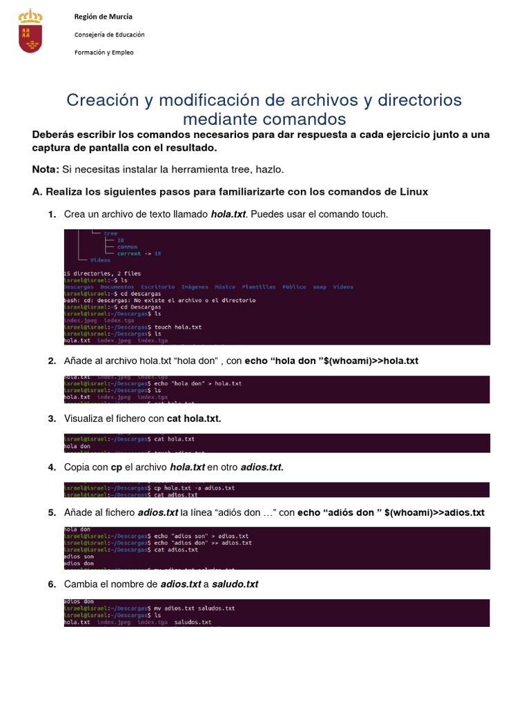 Comandos Linux: Archivos y Directorios | PDF | Archivo de computadora ...