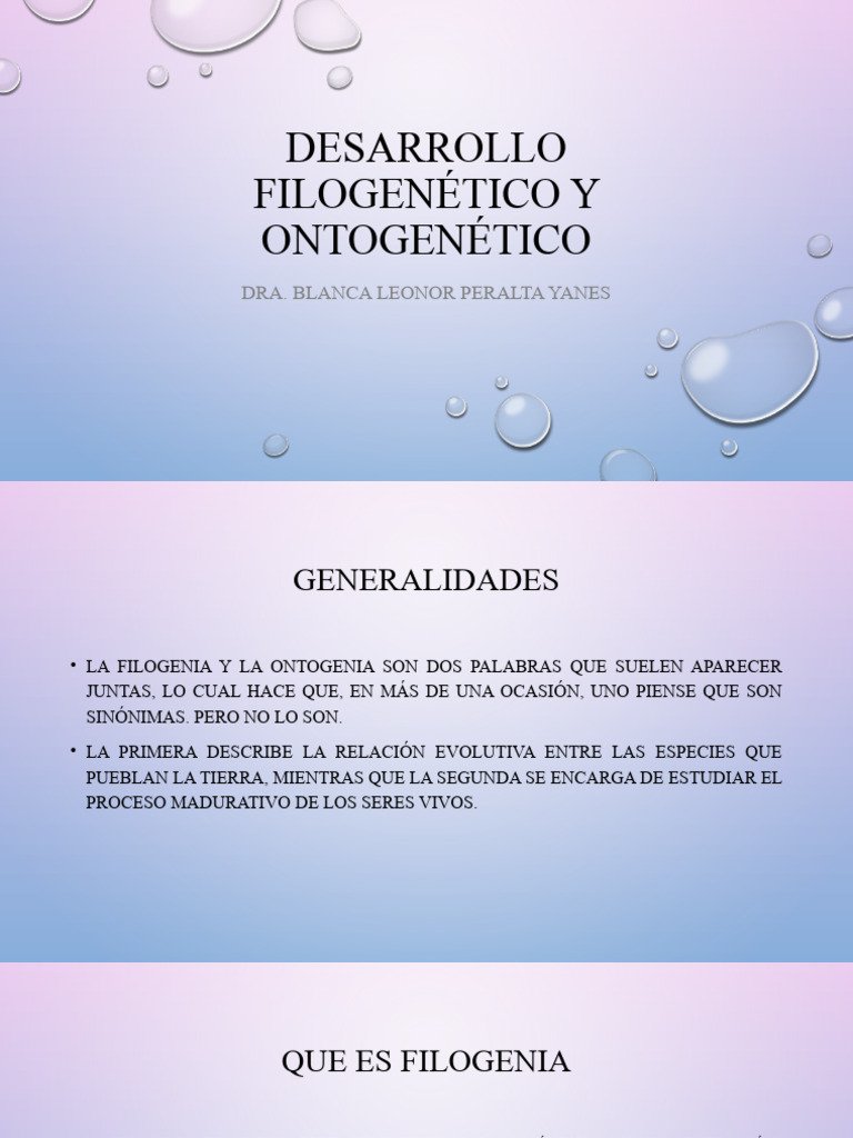 Ontogenético: O Que É, Significado – TMBI