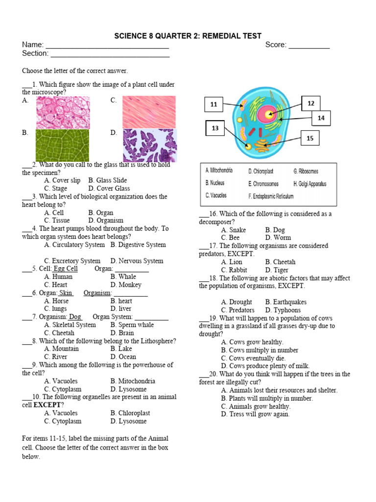 G7 Science - Quarter 2 Remedial | PDF | Cell (Biology) | Heart