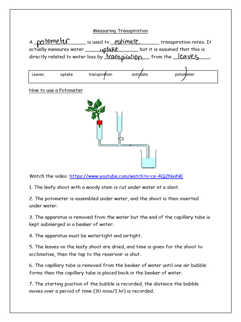 Measuring Transpiration | PDF | Water | Botany