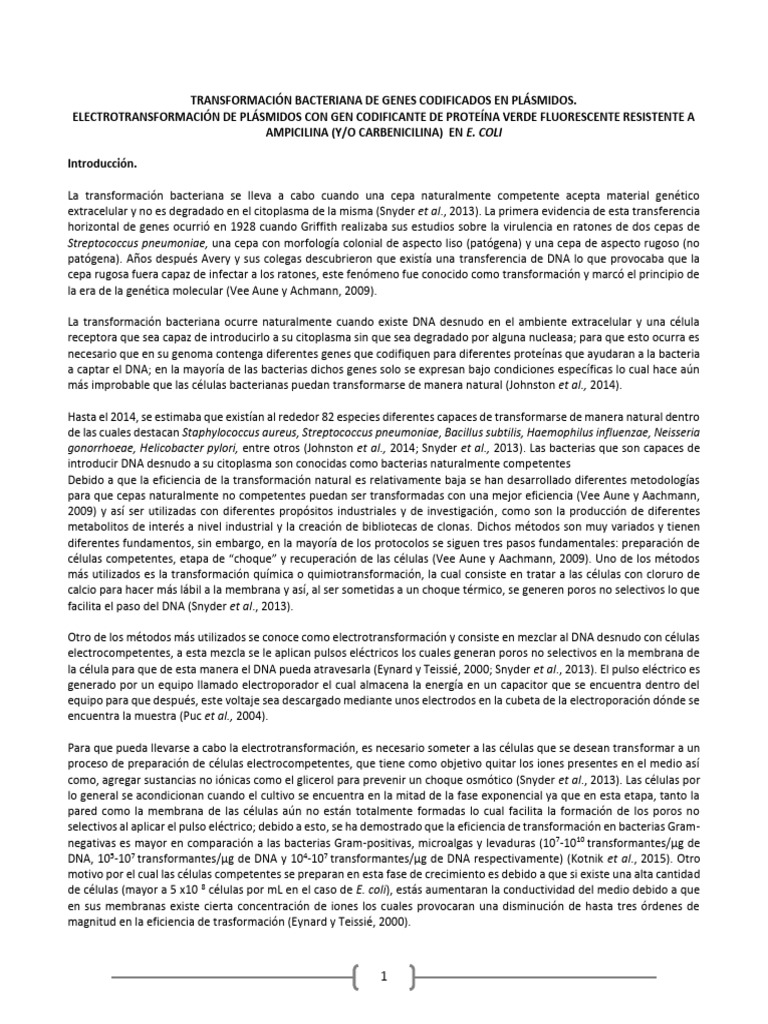 Genetica Microbiana Protocolo Final | PDF