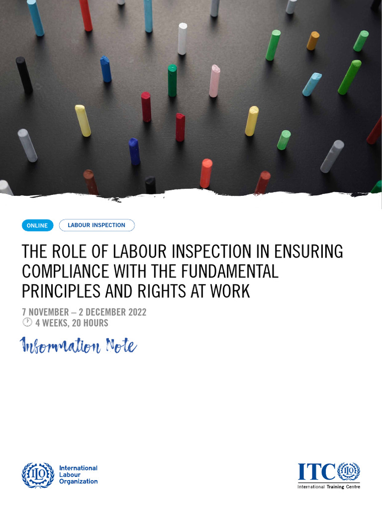 A9715019 - ILSGEN - Llabour Inspection Fundamental Principles and ...