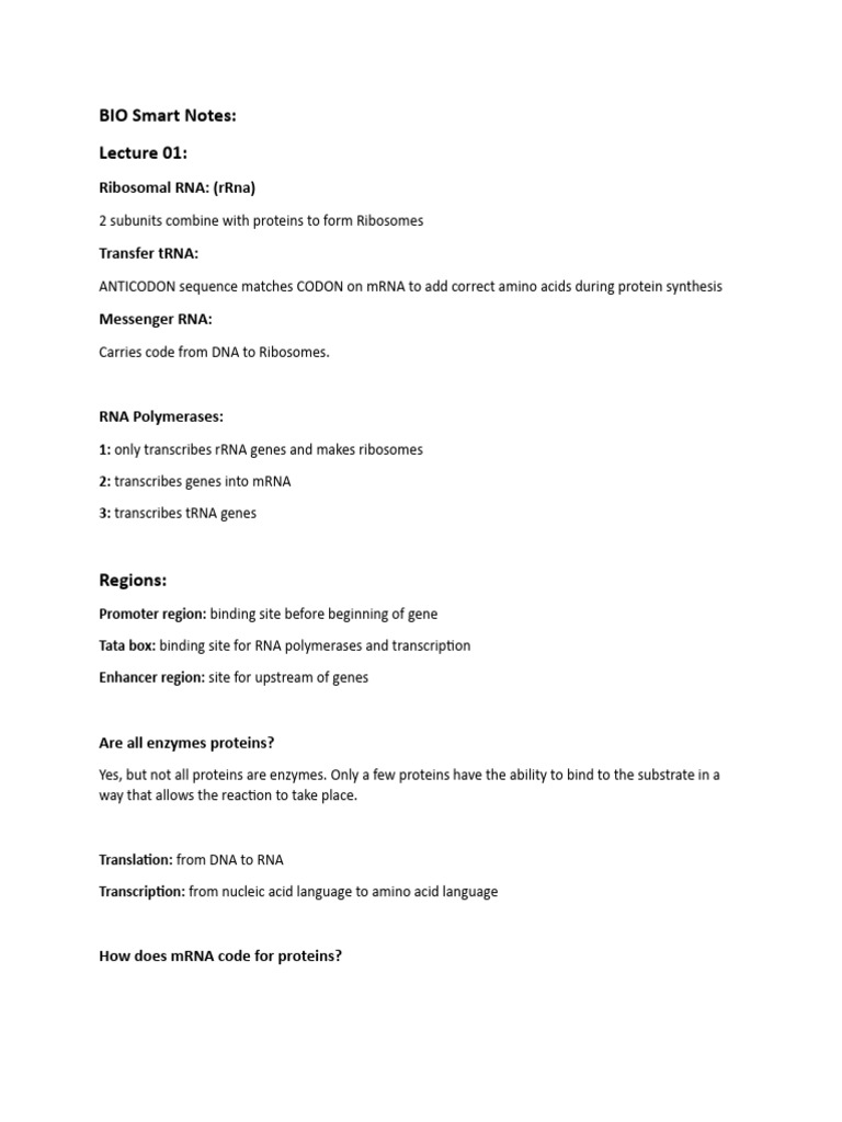 BIO Smart Notes | PDF | Ribosome | Messenger Rna