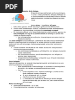Arcos Branquiales en Embriología | PDF | Anatomía humana | Cabeza y ...