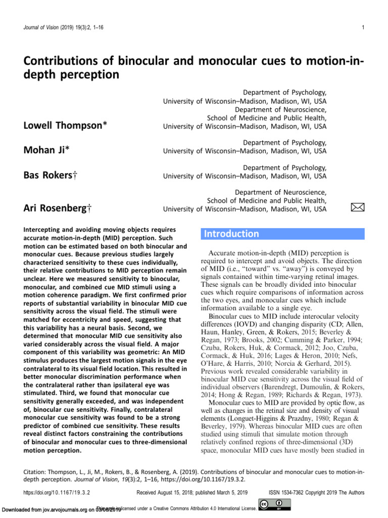 Thompson Ji Rokers Rosenberg 2019 | PDF | Eye | Visual Perception