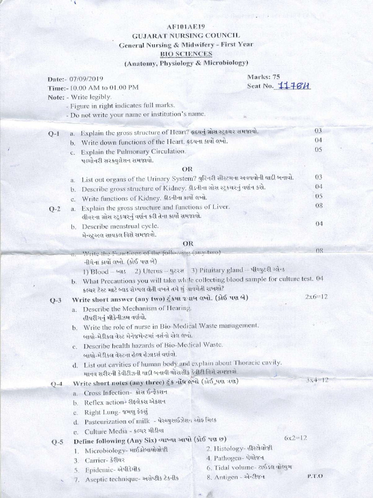 G.N.M 1st Year Exam 2024 | PDF