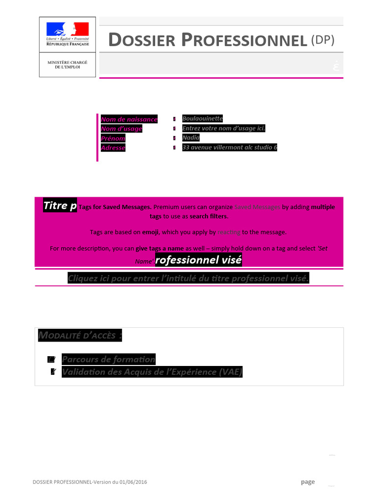 Dossier Professionnel Version Finale A Remplire | PDF