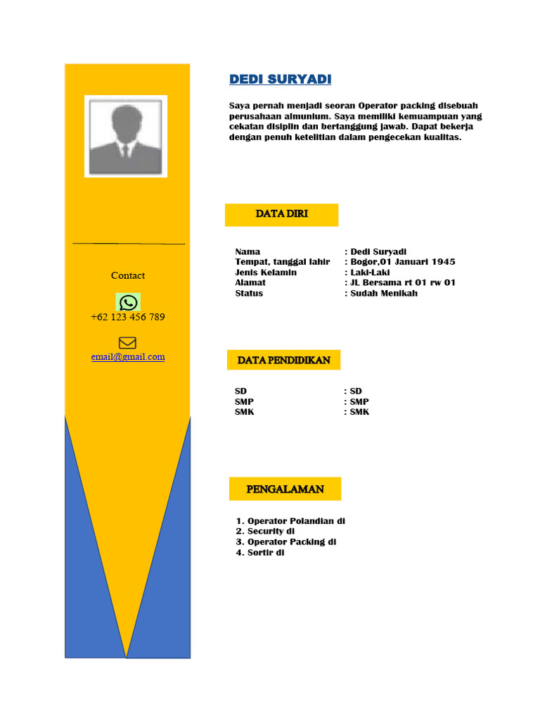 Dedi Suryadi CV | PDF
