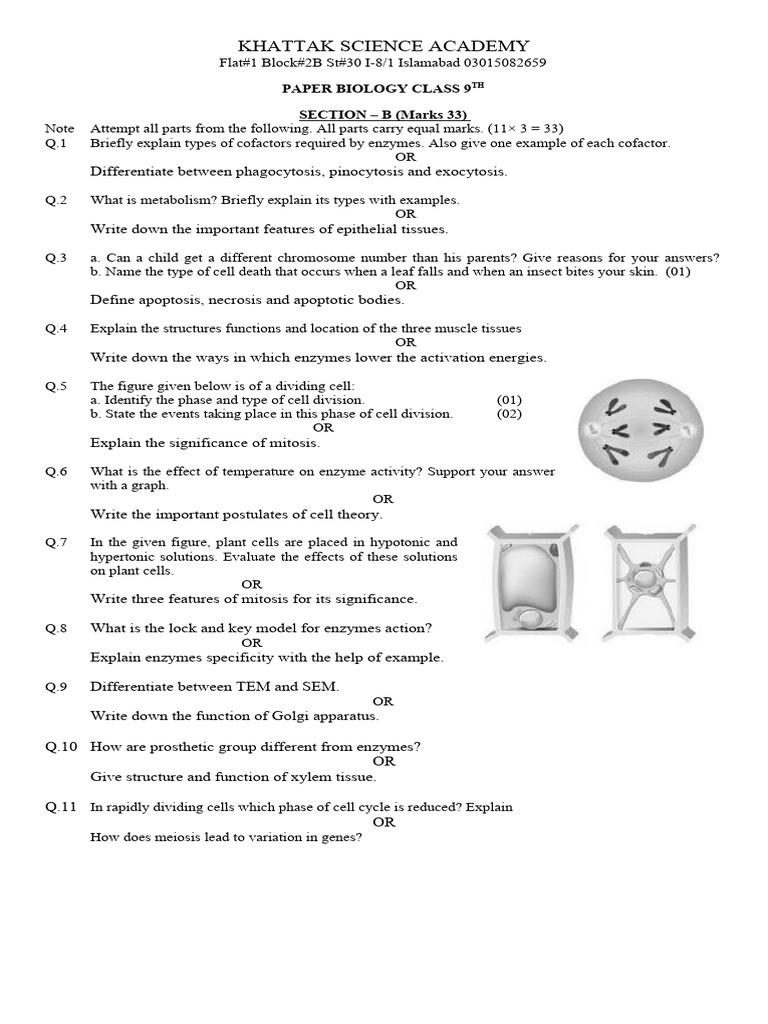 Biology Paper Chapter 4-6 New Pattern | PDF | Cell (Biology) | Mitosis