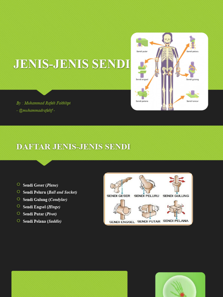 (POWER POINT) Jenis Jenis Sendi | PDF