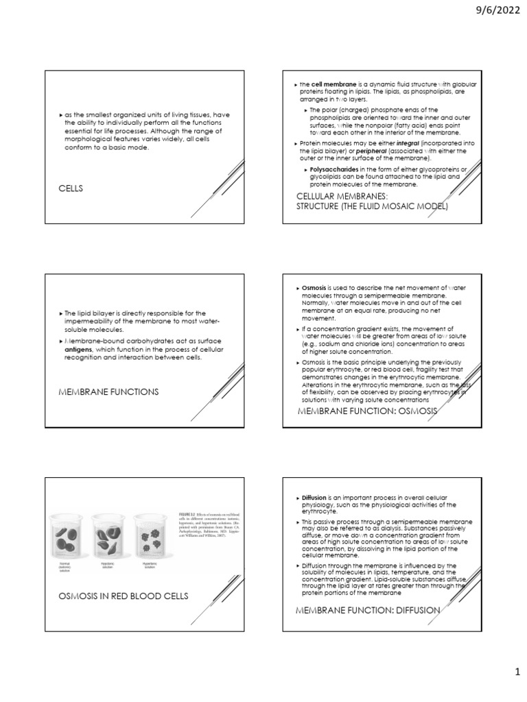 TOPIC 3 7 P | PDF | Cell Membrane | Platelet