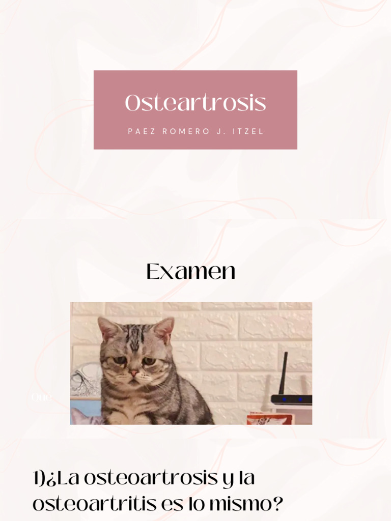 Osteoartrosis: Causas, Síntomas y Prevalencia | PDF | Rodilla ...