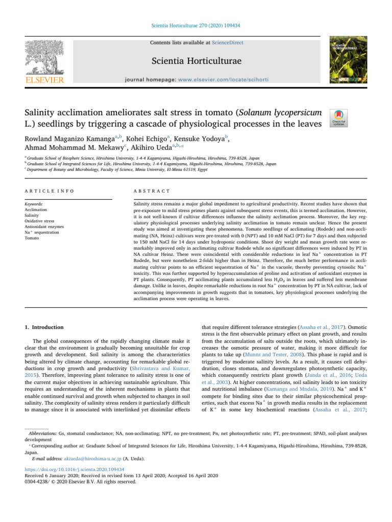 Kamanga (2020) Sci Hort | Download Free PDF | Reactive Oxygen Species | Photosynthesis